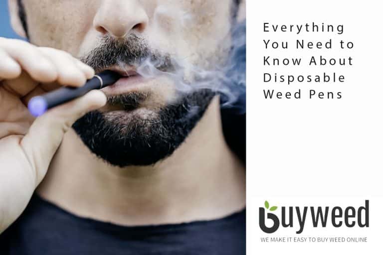 Everything You Need to Know About Disposable Weed Pens - Buy Weed