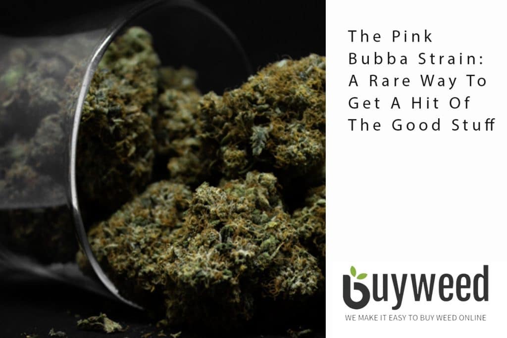 The Pink Bubba Strain: A Rare Way To Get A Hit Of The Good Stuff - Buy Weed